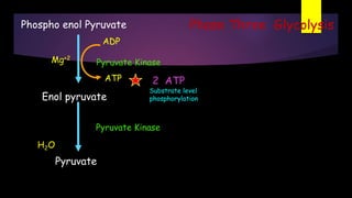 Class 2 glycolysis | PPTX | Endocrine and Metabolic Diseases | Diseases ...