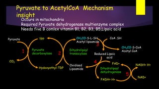 Class 2 glycolysis | PPTX | Endocrine and Metabolic Diseases | Diseases ...