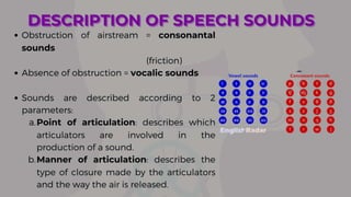 Class 2 Phonetics.pptx