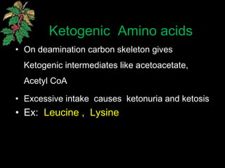 Class 2 protein and amino acids 2017 | PPT