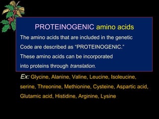 Class 2 protein and amino acids 2017 | PPT