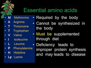 Class 2 protein and amino acids 2017 | PPT