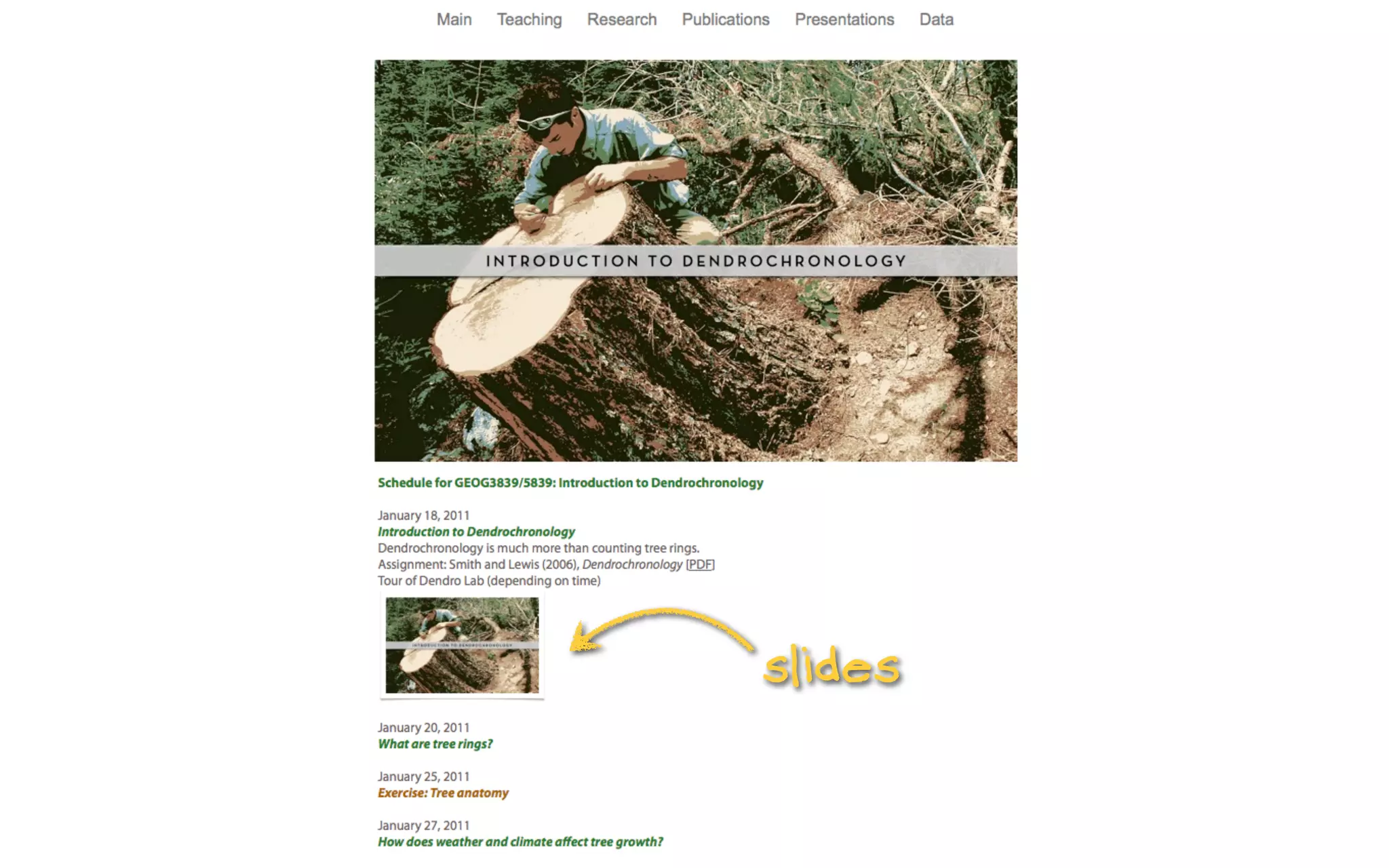 Class 2, What are tree rings? | PDF