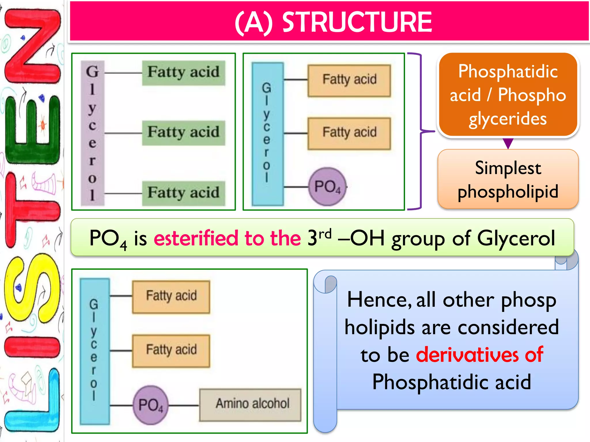 CLASS 3.pdf