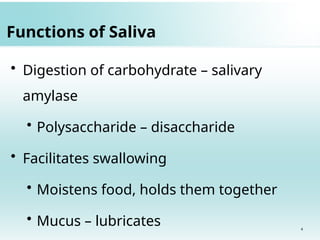Class 3 - anatomy and physiology ofSalivary glands.pptx