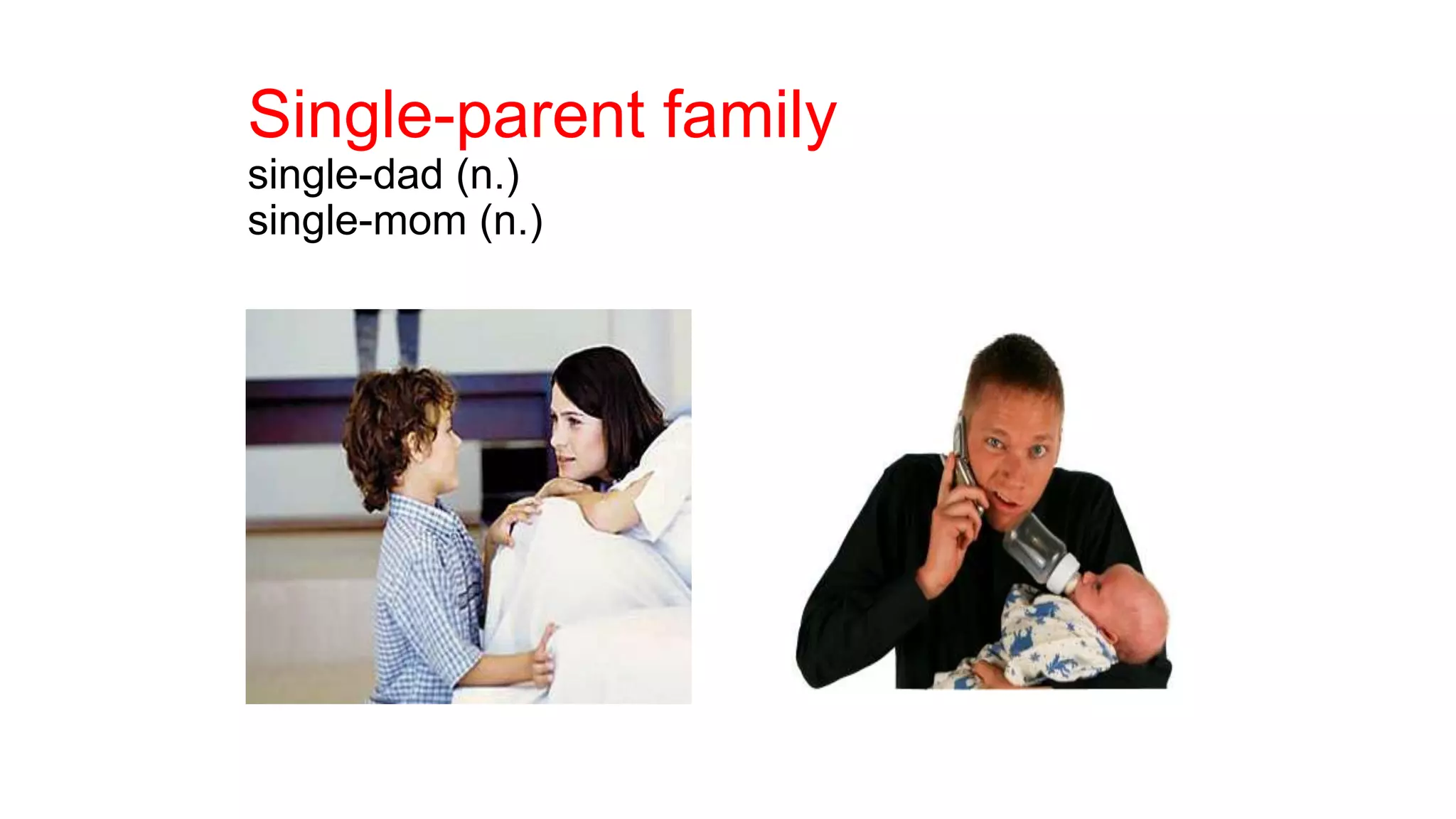 The Family: Characteristics and types | PPTX