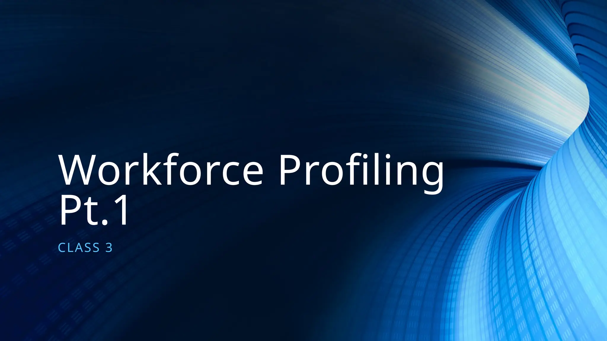 Class 3-Workforce profile updated P.pptx