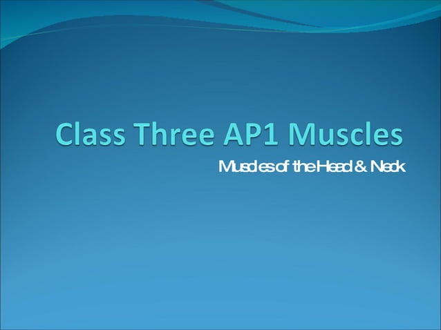 Class 3 Ap1 Muscles | PPT