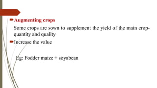 Classification of crops- Crops in field.pptx