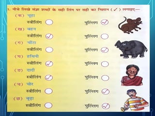 Class 3 gender | PDF