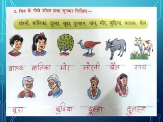 Class 3 gender | PDF