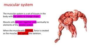 Terminology.pptx | Brain and Nervous System Disorders | Diseases and ...