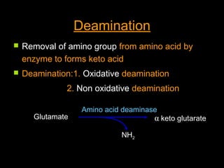 Class 3 protein reactions and biopeptides | PPT