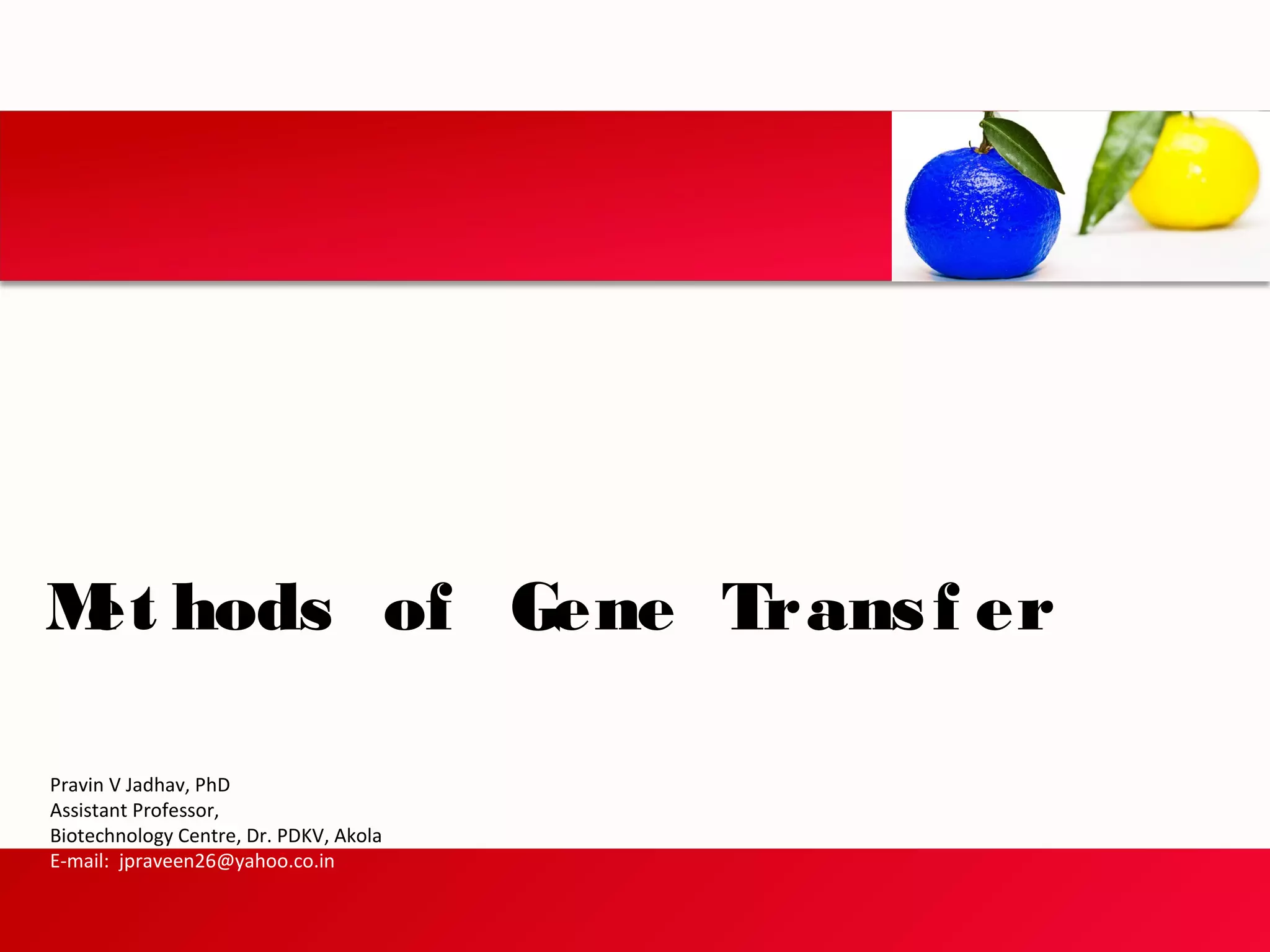 Methods of Gene Transfer | PPT