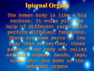 External Organs Of The Body