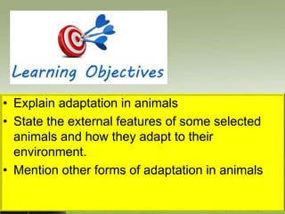 Animal Adaptations | PPTX