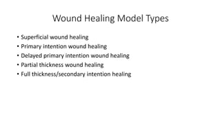 CLASS 3 WOUND HEALING.pptx | First Aid | Injuries