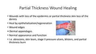 CLASS 3 WOUND HEALING.pptx | First Aid | Injuries
