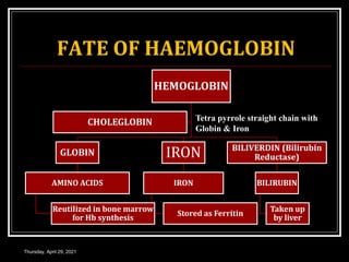haemogloin | PPT