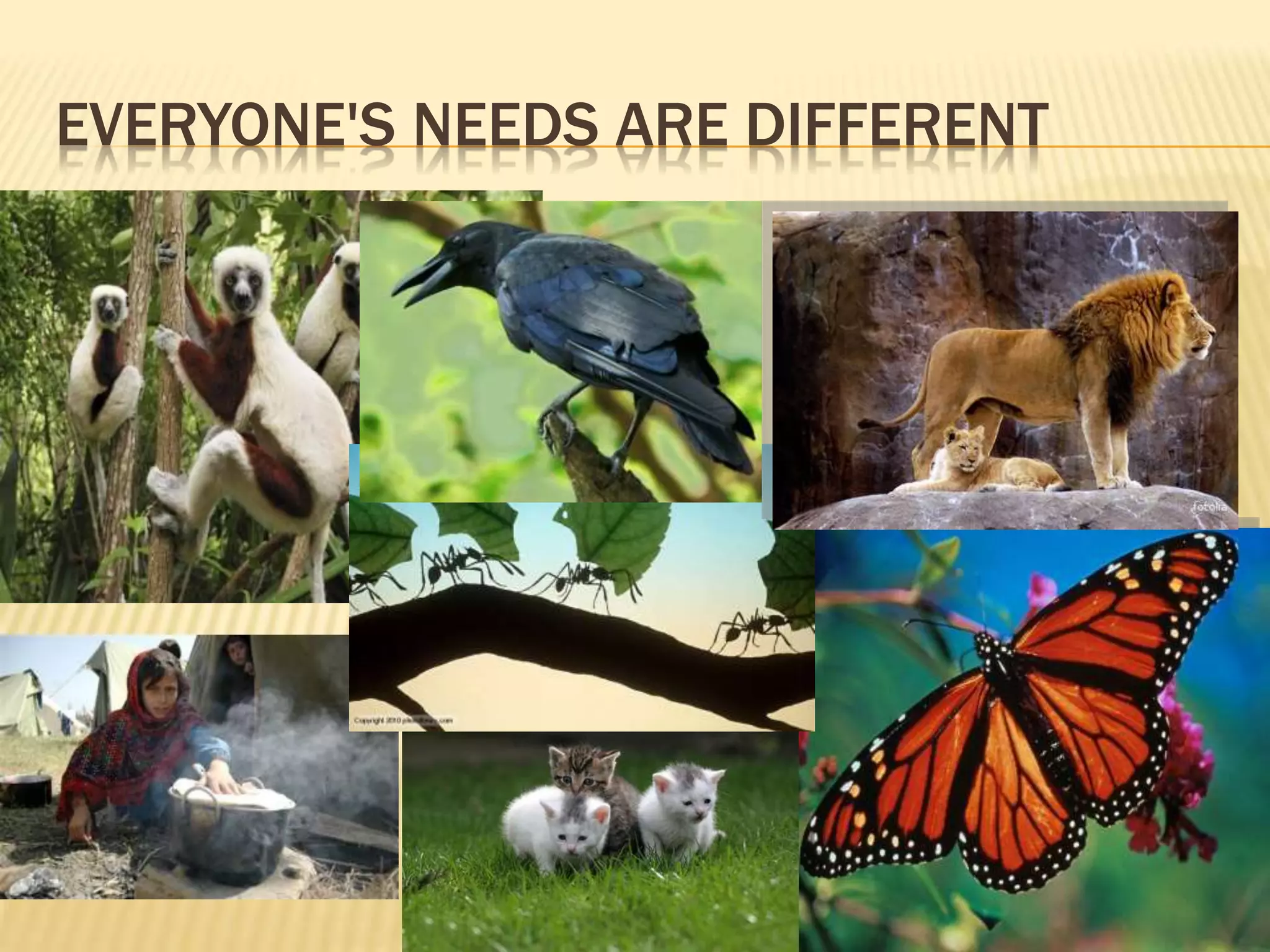 The Inter-relationships between Living Things | PPTX