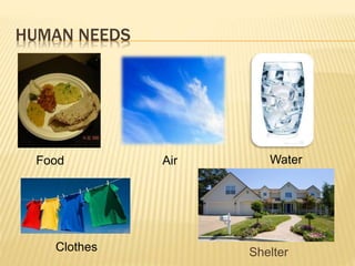 The Inter-relationships between Living Things | PPTX