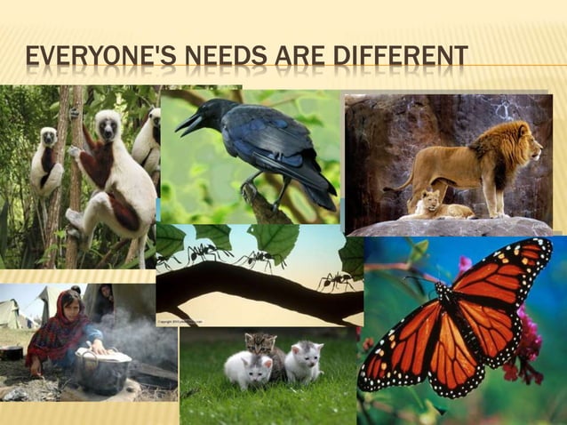 The Inter-relationships between Living Things | PPTX