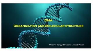 Structure of DNA , it's general characteristics, functions and topology ...