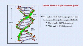 Structure of DNA , it's general characteristics, functions and topology ...