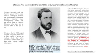 Structure of DNA , it's general characteristics, functions and topology ...