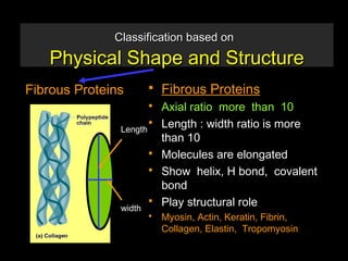 Class 4 protein clssification nutrition chemical | PPT