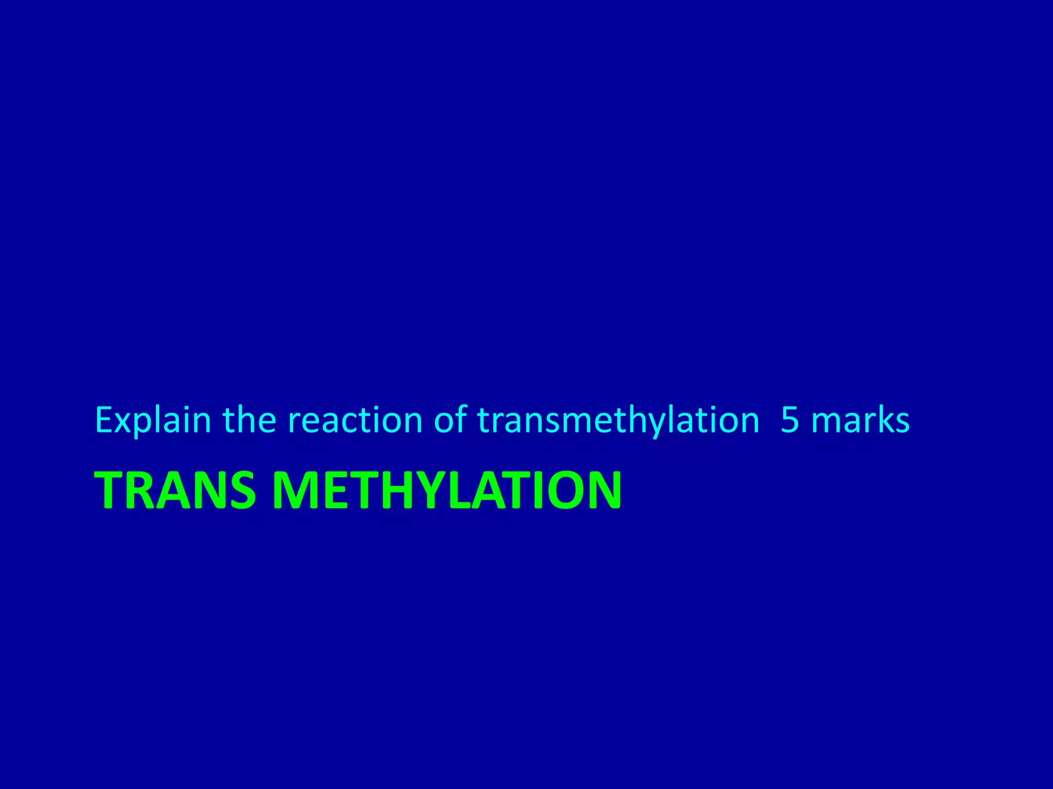 Class 4 reactions of amino acid metabolism | PPTX