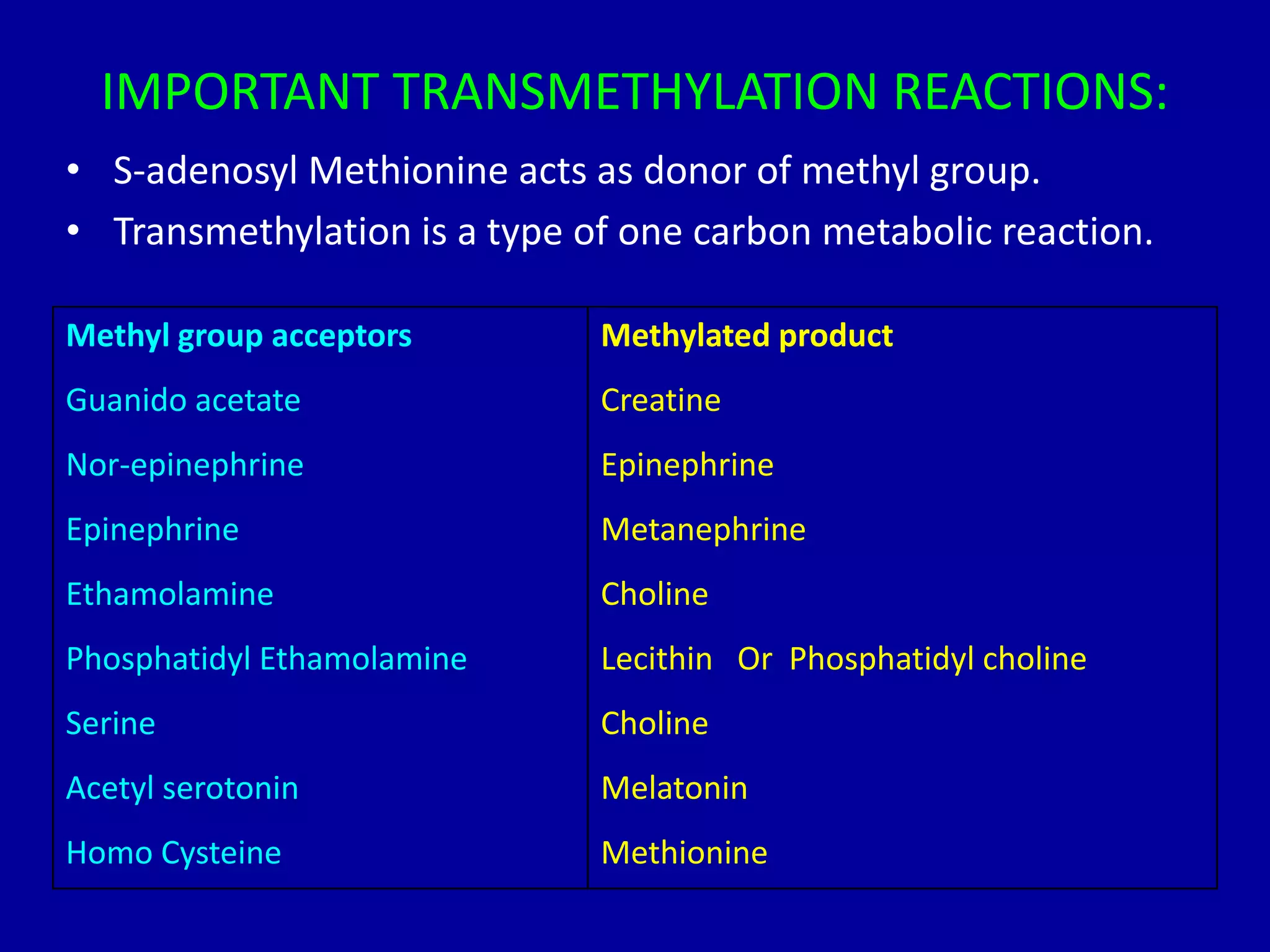 Class 4 reactions of amino acid metabolism | PPTX