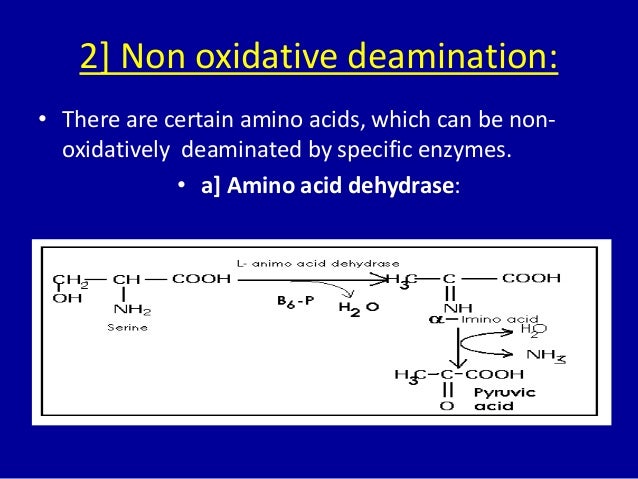 Class 4 reactions of amino acid metabolism
