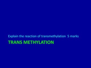 General Reactions involved in amino acid metabolism | PPTX