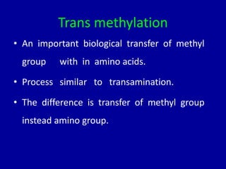 General Reactions involved in amino acid metabolism | PPTX