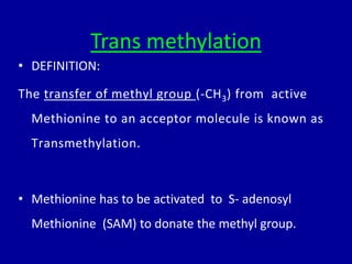 General Reactions involved in amino acid metabolism | PPTX