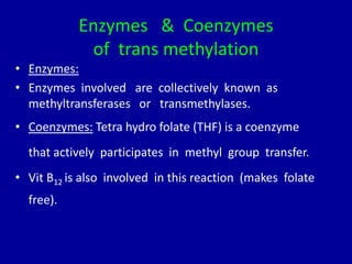 General Reactions involved in amino acid metabolism | PPTX