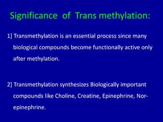 General Reactions involved in amino acid metabolism | PPTX
