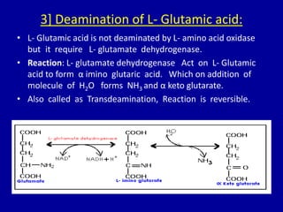 General Reactions involved in amino acid metabolism | PPTX