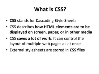 CSS tutorial chapter 1 | PPT