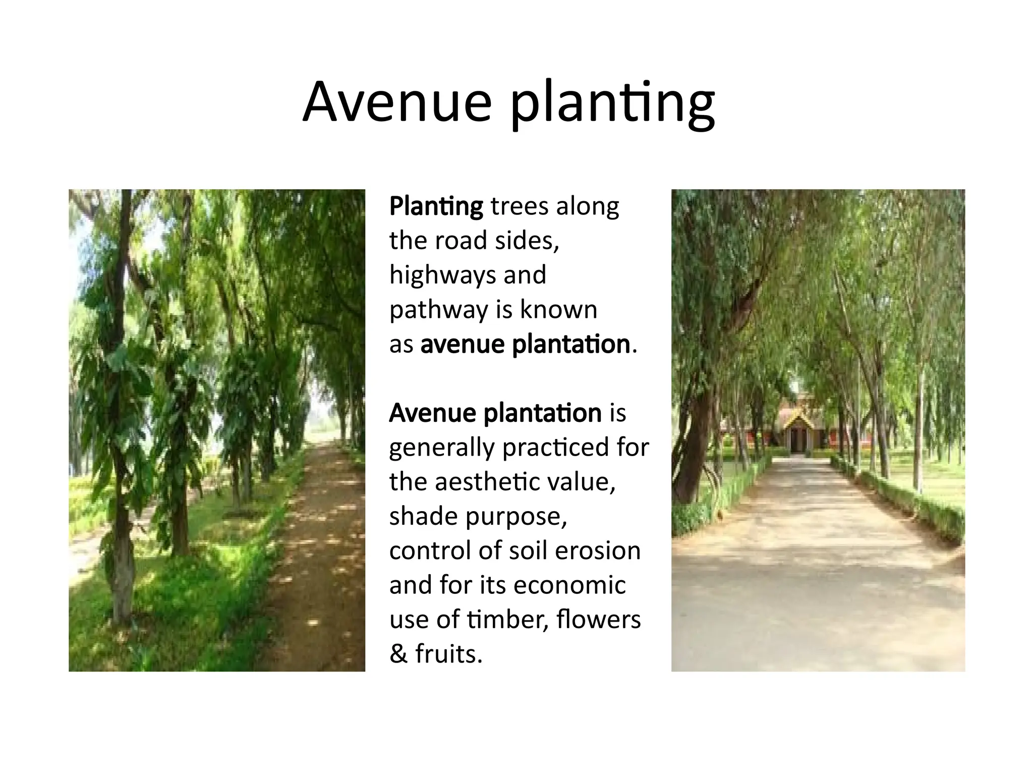 importance,design of garden components.pptx