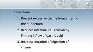 class 5 - physiology of stomach and glands.pptx