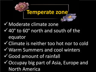 climate zones of the world, Class 5,chap1, sst | PPTX