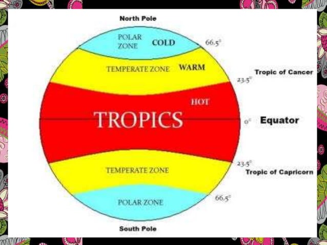 climate zones of the world, Class 5,chap1, sst | PPTX | Weather | Science