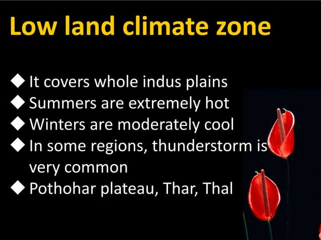 climate zones of the world, Class 5,chap1, sst | PPTX | Weather | Science