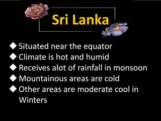 climate zones of the world, Class 5,chap1, sst | PPTX