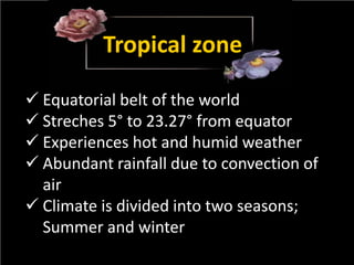 climate zones of the world, Class 5,chap1, sst | PPTX