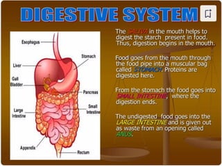 class 5 evs from tasting to Digesting.pptx