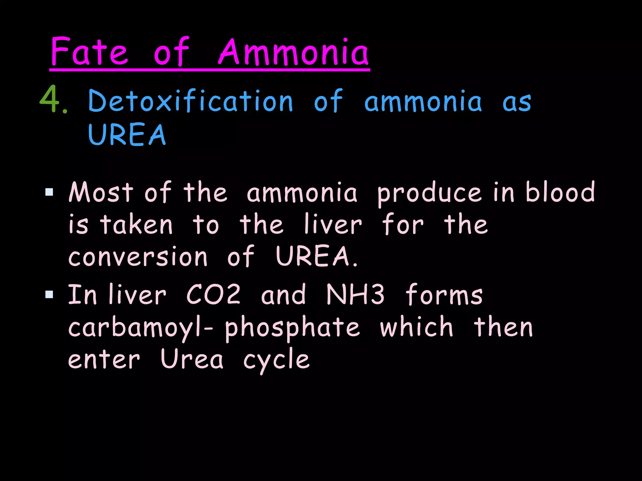 Formation and fate of ammonia | PPTX
