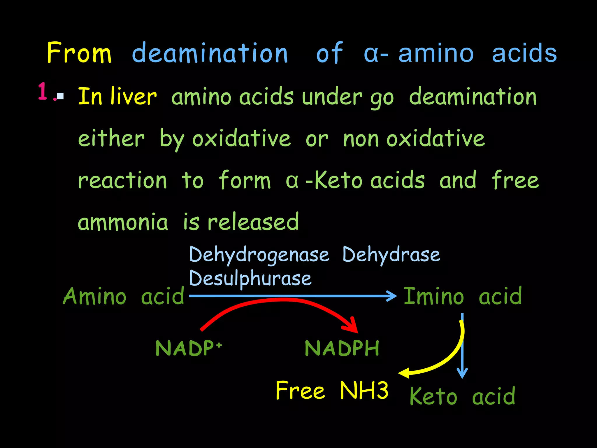 Formation and fate of ammonia | PPTX